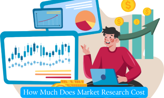 Market Research Cost Estimation Breakdown for 2025